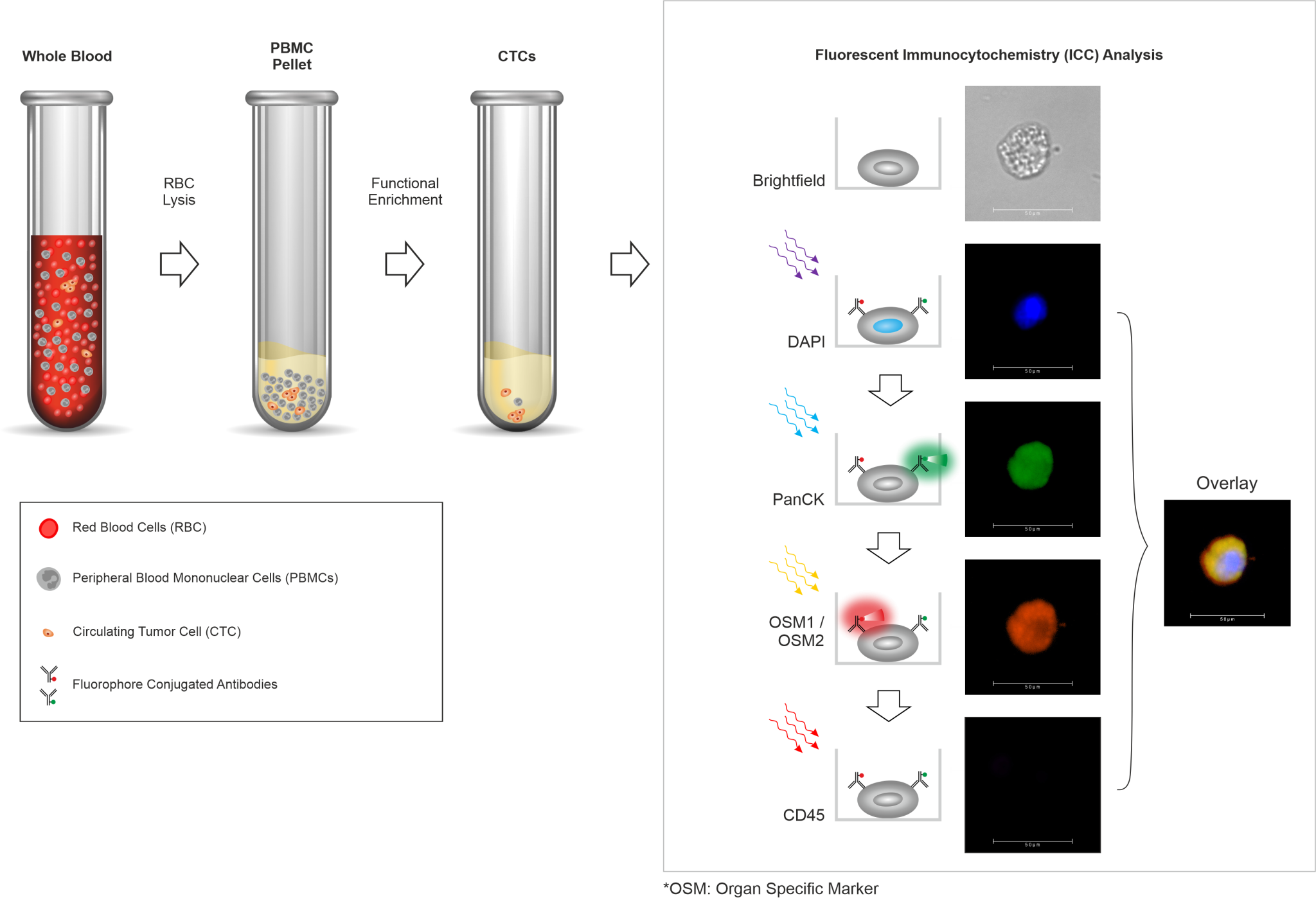 Technology - EasyCheck360